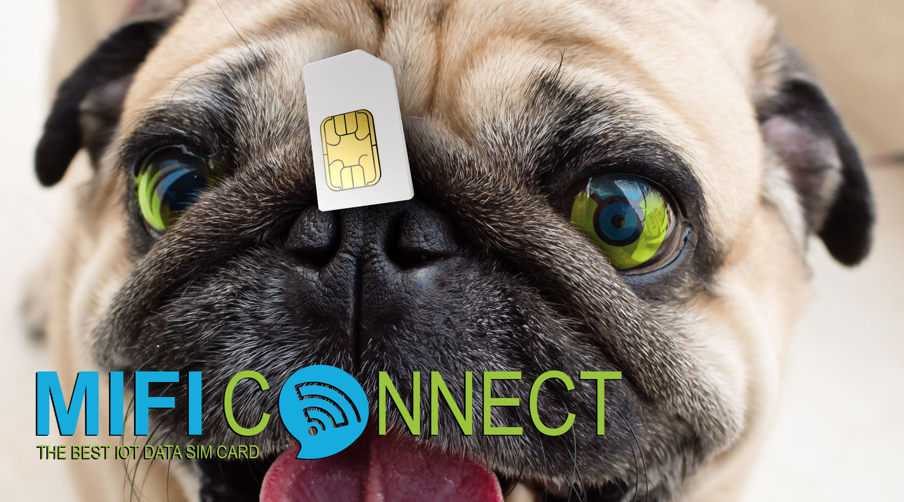 Mifi-Connect IoT SIM kaart EUROPE - MiFi-hotspot